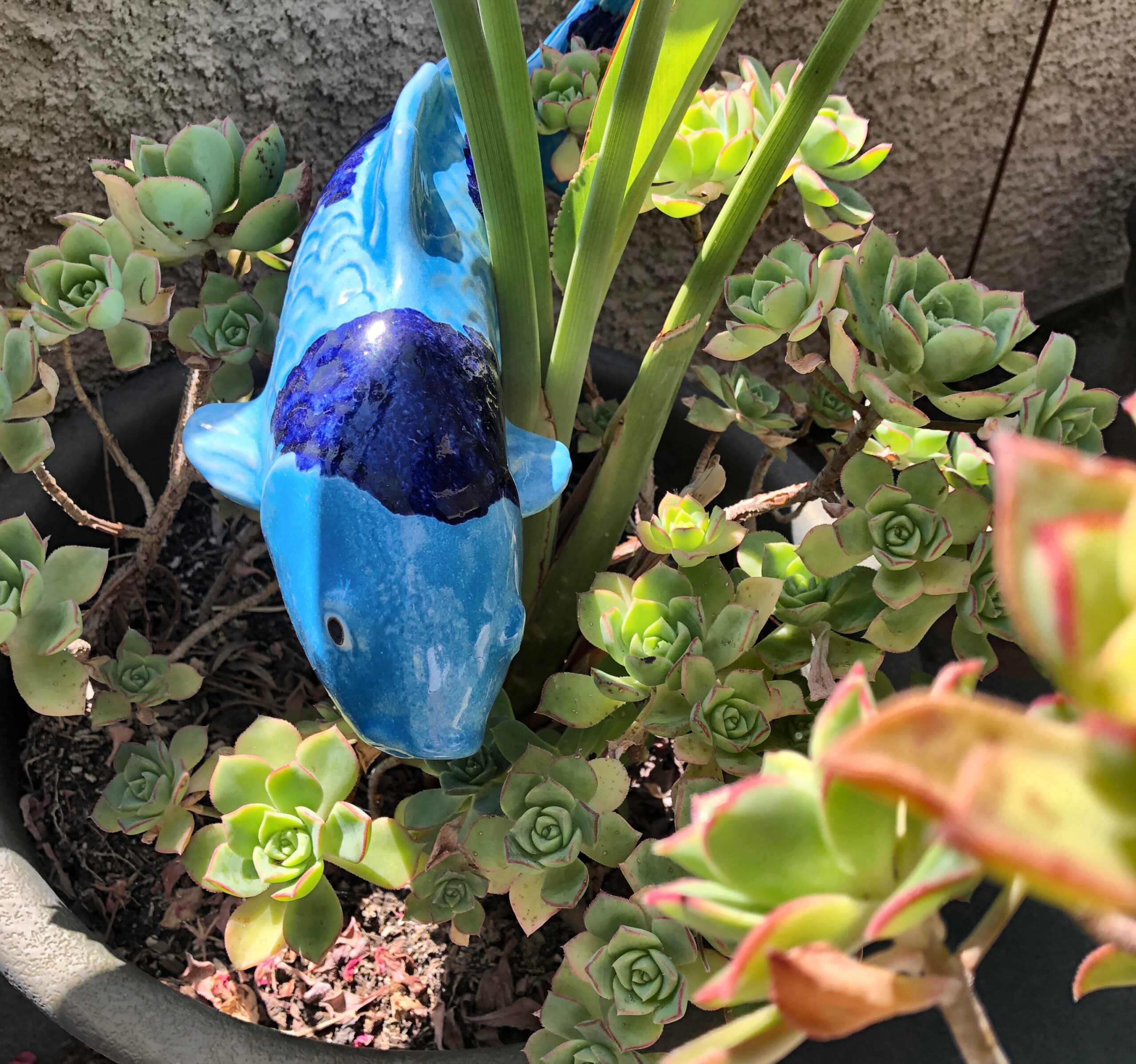 Fug Nation Loved These Ten Things This Spring (So Far) - Go Fug ...